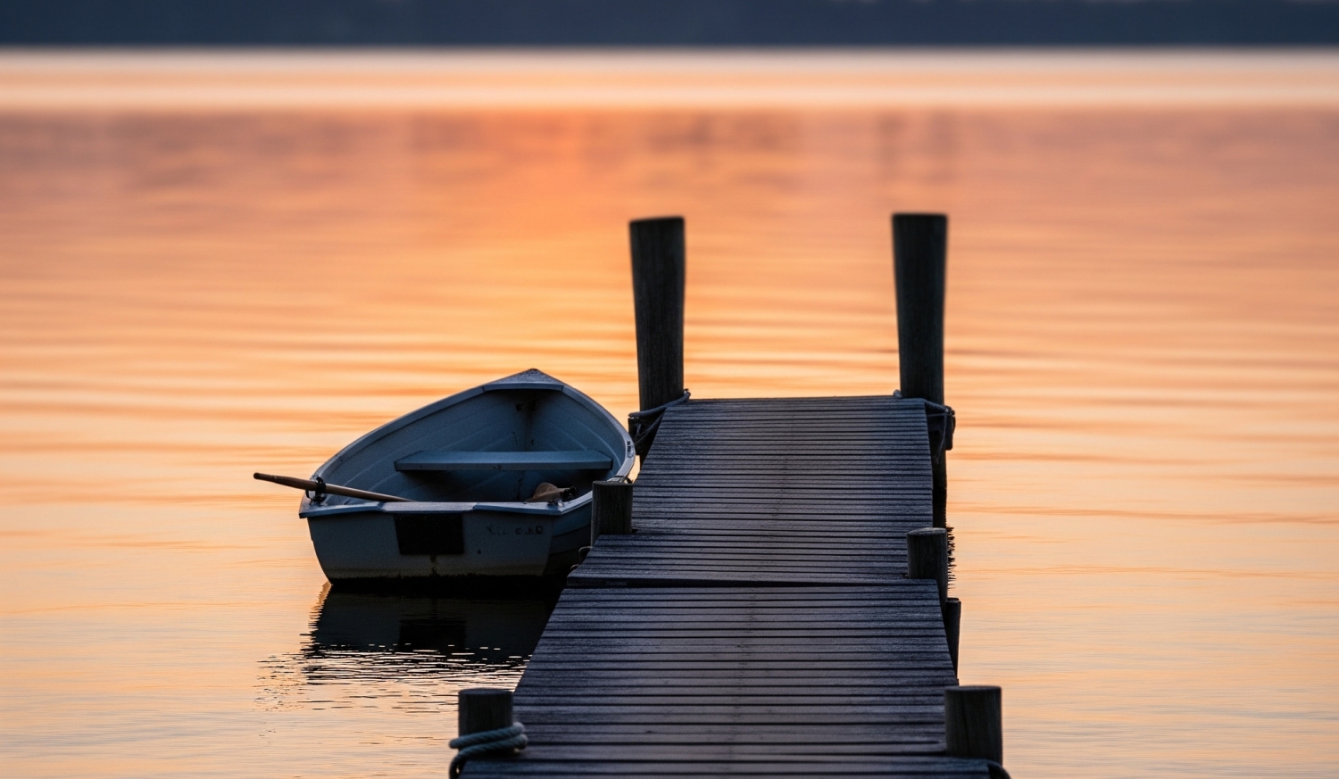 Higgins Lake Riparian Owners Appeal Dismissal in Lake Level Case ...